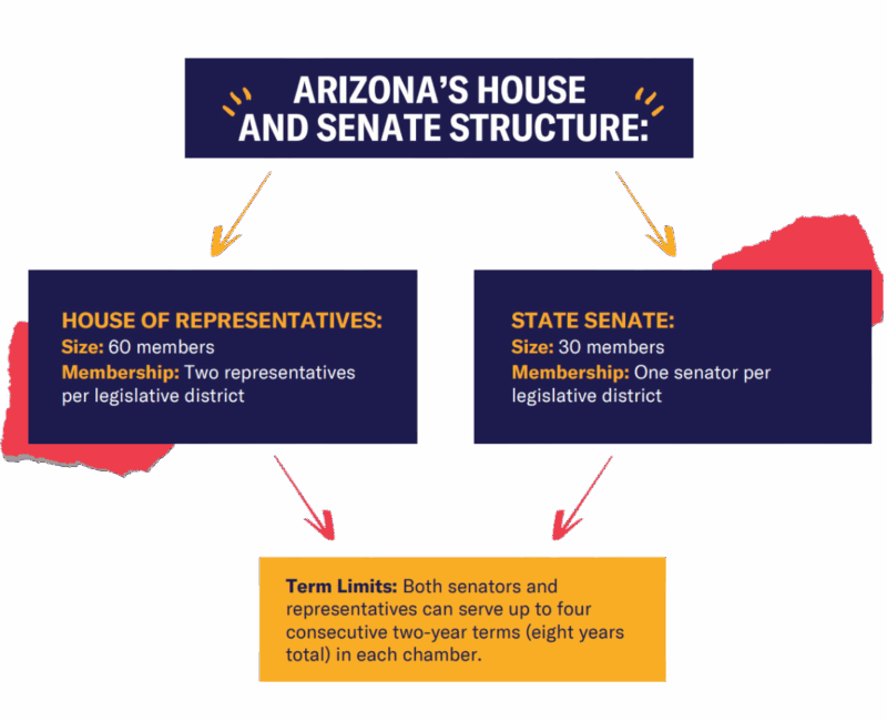 Arizona Legislature 101: How State Government Affects YOU - ACLU of Arizona